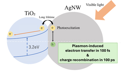 Enhancement of visible light response of TiO2 photocatalyst by 3D ...