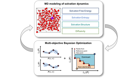 Modeling solvation dynamics of transition metal redox ion through on ...
