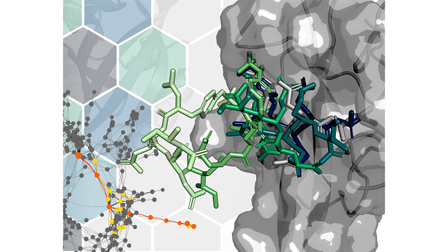 Self-organizing maps of unbiased ligand–target binding pathways and ...