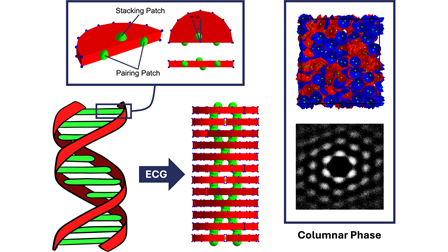 In silico study of DNA mononucleotide self-assembly | The Journal of ...