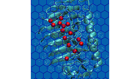 Solvation of molecules from the family of “domain of unknown function ...