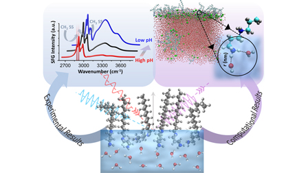 Investigating the self-assembly of pH-sensitive switchable diamine surfactant using sum ...
