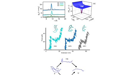 Mechanical unfolding of RNA molecules using a knowledge-based model ...