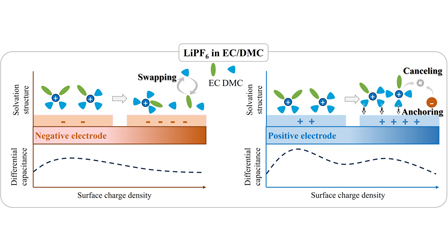 Li-ion solvation structure at electrified solid–liquid interface ...