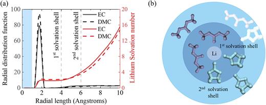 Li-ion solvation structure at electrified solid–liquid interface ...