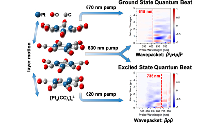 Vibronic coherent quantum beat in four-layer platinum carbonyl cluster ...