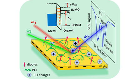 On the mechanism for work function change of gold electrodes by ...