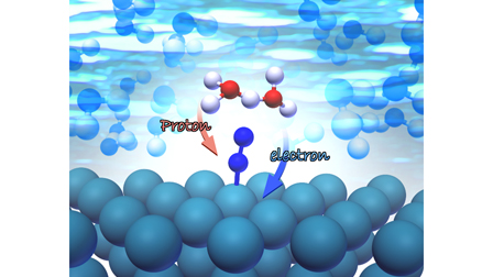 Simplification of solvation shell with water clusters in the simulation ...