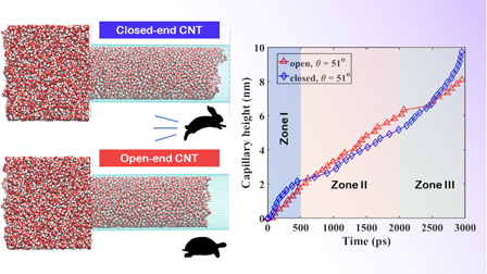Capillary filling dynamics in closed-end carbon nanotubes—Defying the ...