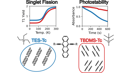 Morphology- and crystal packing-dependent singlet fission and ...
