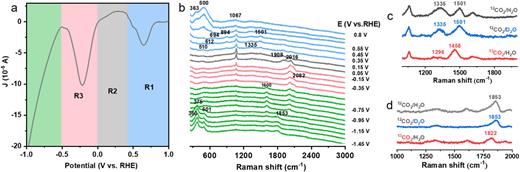 In situ Raman reveals the critical role of Pd in electrocatalytic CO2 ...