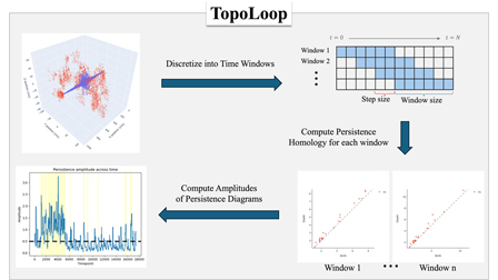 TopoLoop: A new tool for chromatin loop detection in live cells via single-particle tracking ...