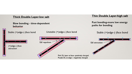 Unusual salt effects on the time-dependent behavior of charge and shape ...