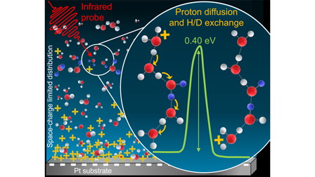Proton diffusion and hydrogen/deuterium exchange in amorphous solid ...
