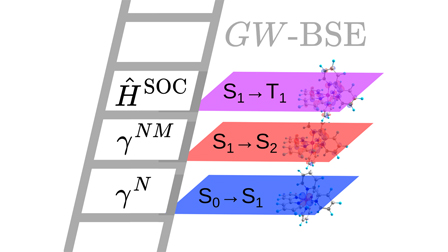 Excited state properties from the Bethe–Salpeter equation: State-to ...