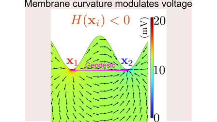 Voltage mapping in subcellular nanodomains using electro-diffusion ...