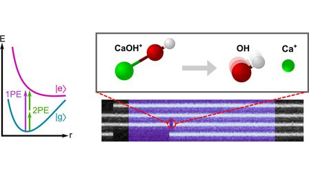 Photodissociation spectra of single trapped CaOH+ molecular ions | The ...