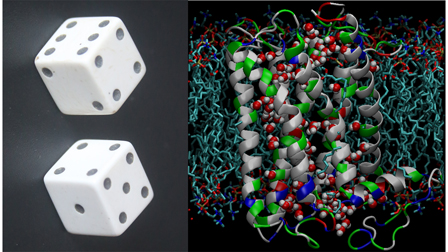 MMC: A Monte Carlo laboratory | The Journal of Chemical Physics | AIP ...