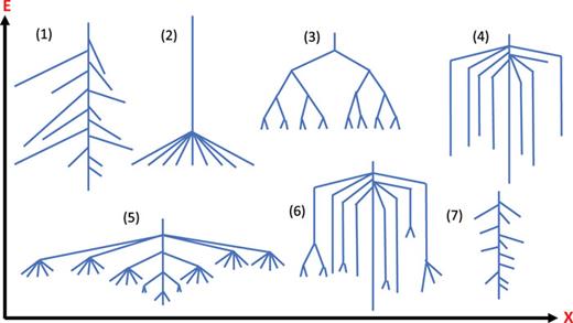 Energy landscapes—Past, present, and future: A perspective | The ...