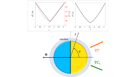 Interplay of phoresis and self-phoresis in active particles: Transport ...