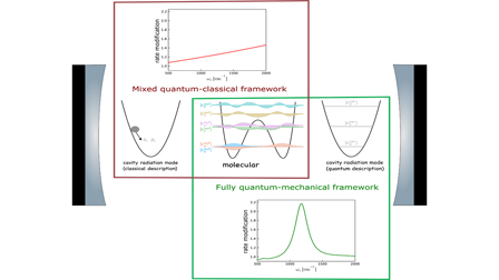 Quantum nature of reactivity modification in vibrational polariton ...
