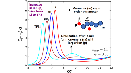 Liquid state theory of the structure of model polymerized ionic liquids ...