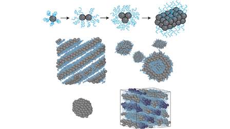 Dynamic surfactants drive anisotropic colloidal assembly | The Journal ...
