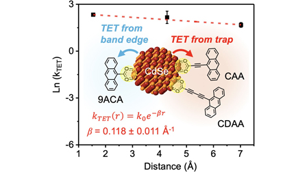 Oligoyne bridges enable strong through-bond coupling and efficient ...