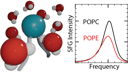 Hydrogen bonding blues: Vibrational spectroscopy of the TIP3P water ...