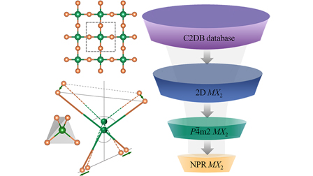 High-throughput computational screening of auxetic two-dimensional metal dichalcogenides and ...