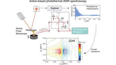Action-based two-dimensional infrared spectroscopy on the horizon | The ...