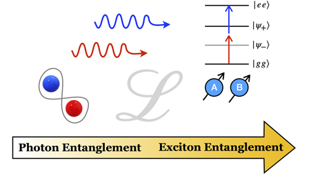 Modeling entanglement dynamics of molecules interacting with entangled ...