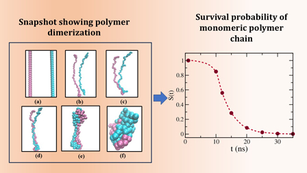 Dimerization of model polymer chains under nonequilibrium conditions ...
