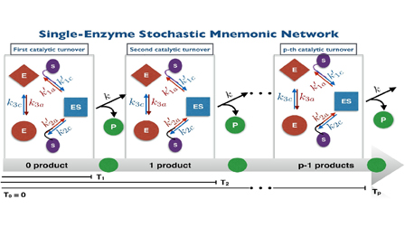 Memory, hysteresis, and kinetic cooperativity in stochastic mnemonic ...