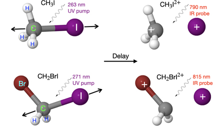 Modeling the time-resolved Coulomb explosion imaging of halomethane ...
