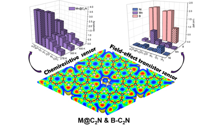 Heteroatom decorated C2N monolayer for gas-sensing application: Insight ...