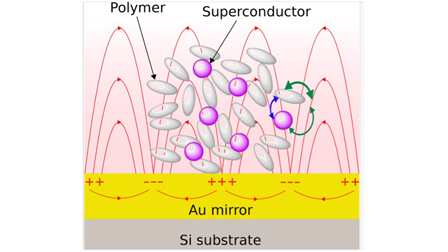 Exploring superconductivity under strong coupling with the vacuum ...