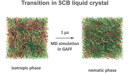 Microsecond-scale observation of phase transition and diffusion in 5CB ...