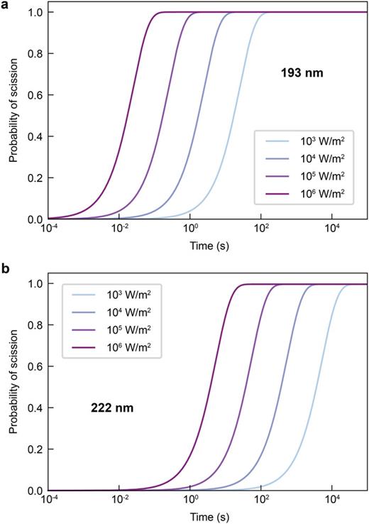 Photolysis of the peptide bond at 193 and 222 nm | The Journal of ...