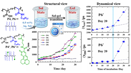 Dynamical signature of the onset of sol-gel phase transition in aqueous ...