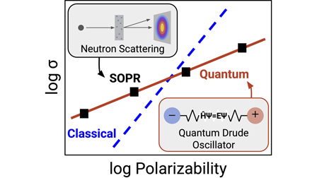 Experimental evidence of quantum Drude oscillator behavior in liquids ...