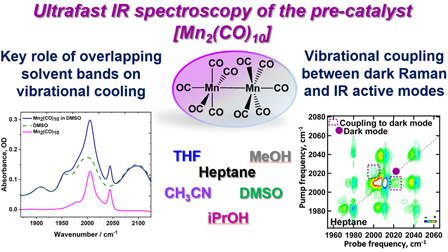 Ultrafast vibrational spectroscopic analysis of the ubiquitous ...