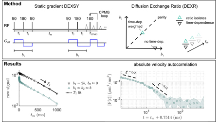 Measuring the velocity autocorrelation function using diffusion NMR ...