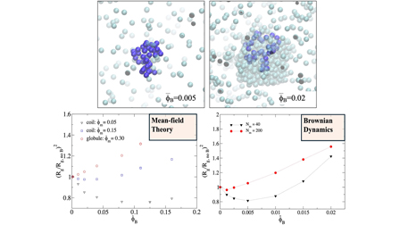 Phase transitions in chromatin: Mesoscopic and mean-field approaches ...