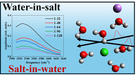 Concentrated aqueous lithium chloride solution dynamics: The role of ...