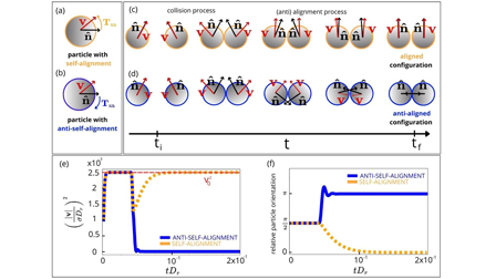 Self-alignment and anti-self-alignment suppress motility-induced phase ...