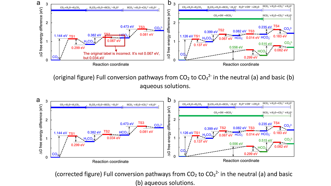 Erratum: “Collective molecular-scale carbonation path in aqueous solutions with sufficient ...