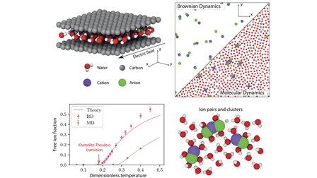 Ionic association and Wien effect in 2D confined electrolytes | The ...