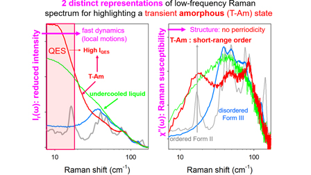 Low-frequency Raman signatures of transient polyamorphic situation in ...