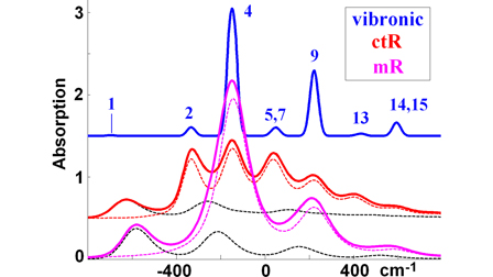 Electron–vibrational resonance and optical lineshapes: Complex time ...